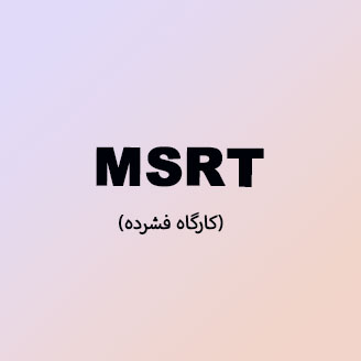 کارگاه MSRT | آکادمی زبان عالم زاده